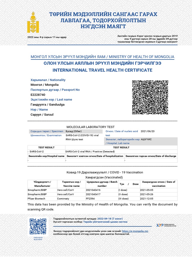 Олон Улсын Аяллын Эрүүл Мэндийн Гэрчилгээ International Travel Health ...