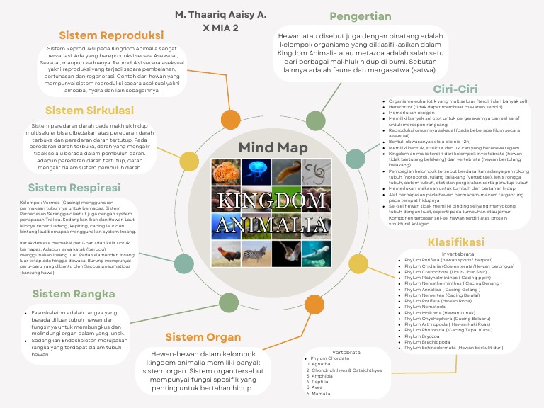Mindmap Kingdom Animalia | PDF | Sains & Matematika