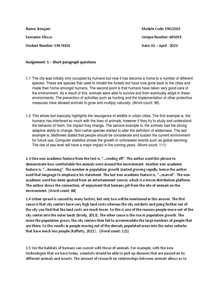 ENG1503 Assignment 1 - Bongani Khoza | PDF