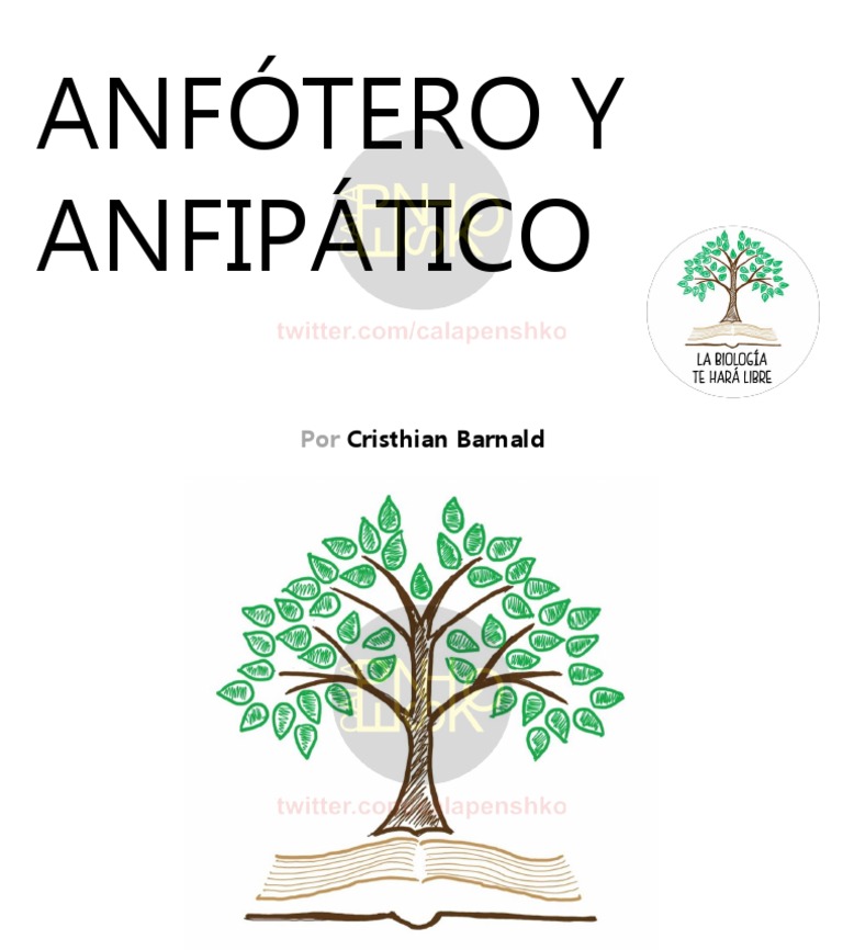 Anfótero y Anfipático: Definición | PDF