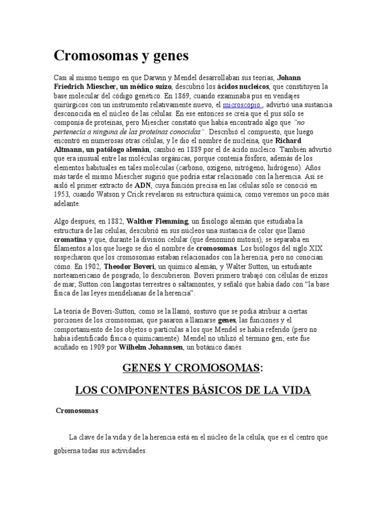 Cromosomas y Genes | PDF | Mitosis | Adn