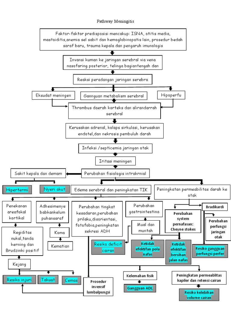 Pathway Meningitis | PDF