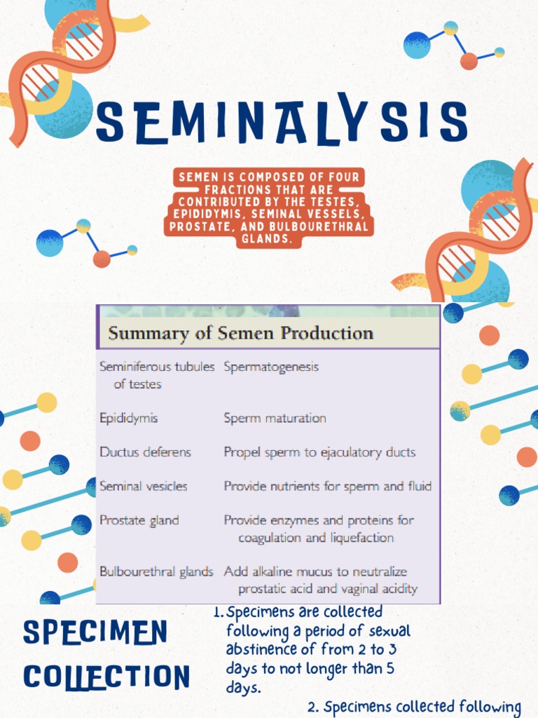 SEMINALYSIS | PDF | Semen | Reproduction