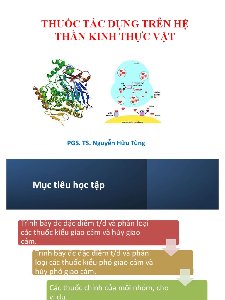 Thuốc tác dụng lên TKTV | PDF