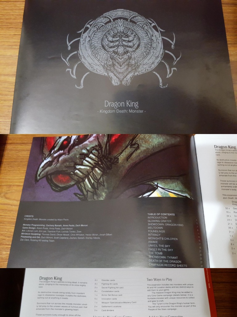 Dragon King Book | PDF