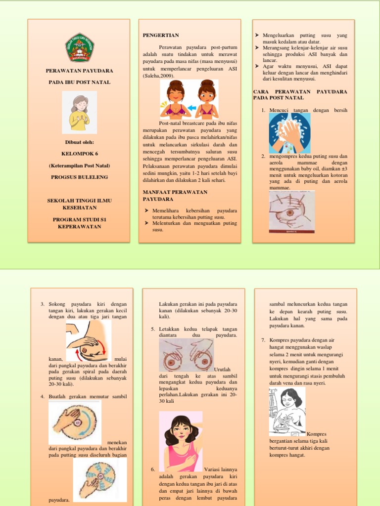 Leaflet Edukasi Perawatan Payudara | PDF