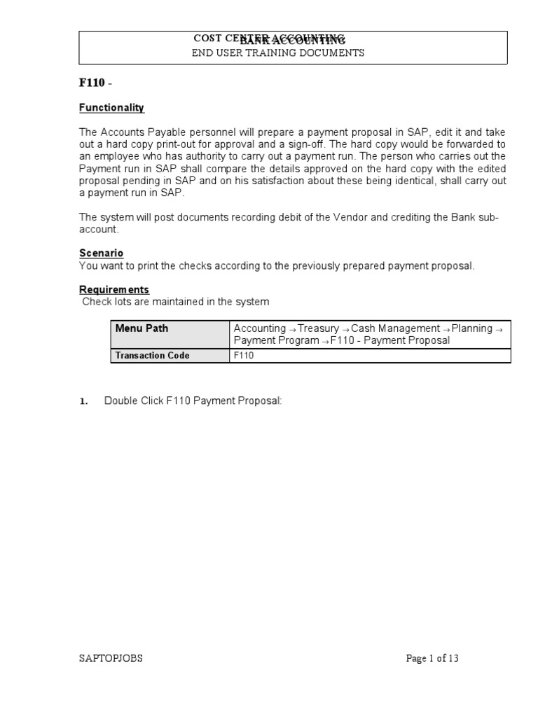 F110 Payment Run Process in SAP | PDF | Payments | Computing