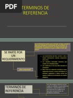 GUÍA PARA ELABORAR TÉRMINOS DE REFERENCIA - TDR | PDF | Marketing | Business