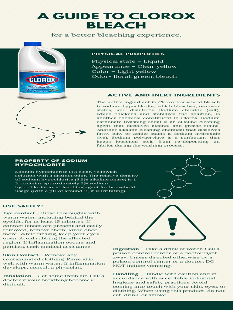 Clorox Brochure Sample | PDF