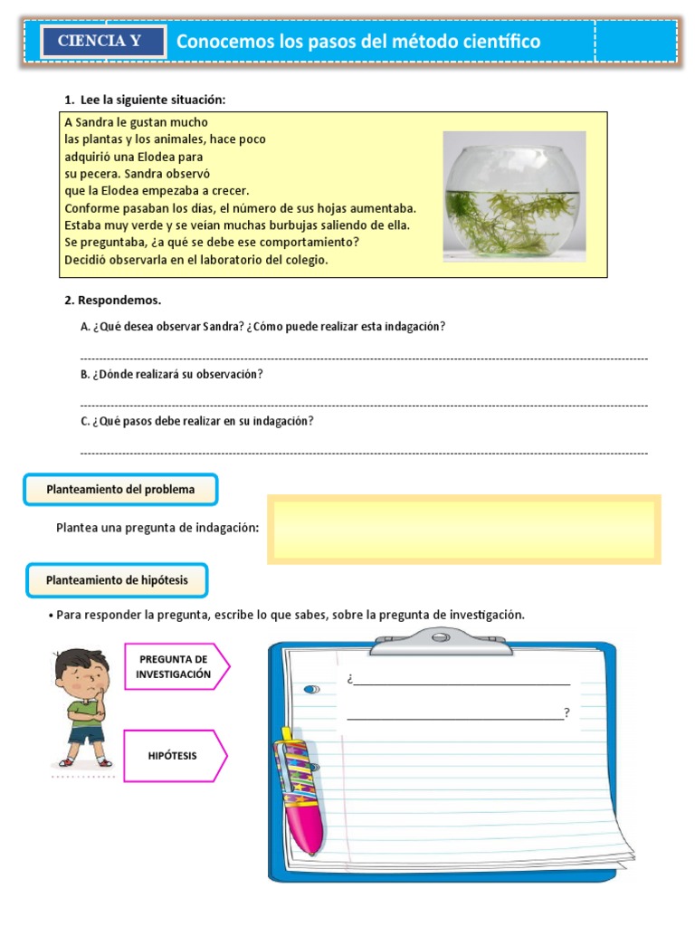 D2 A3 FICHA CT. Conocemos Los Pasos Del Método Científico | PDF ...