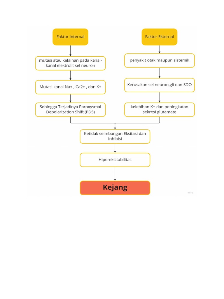 Mekanisme Kejang | PDF