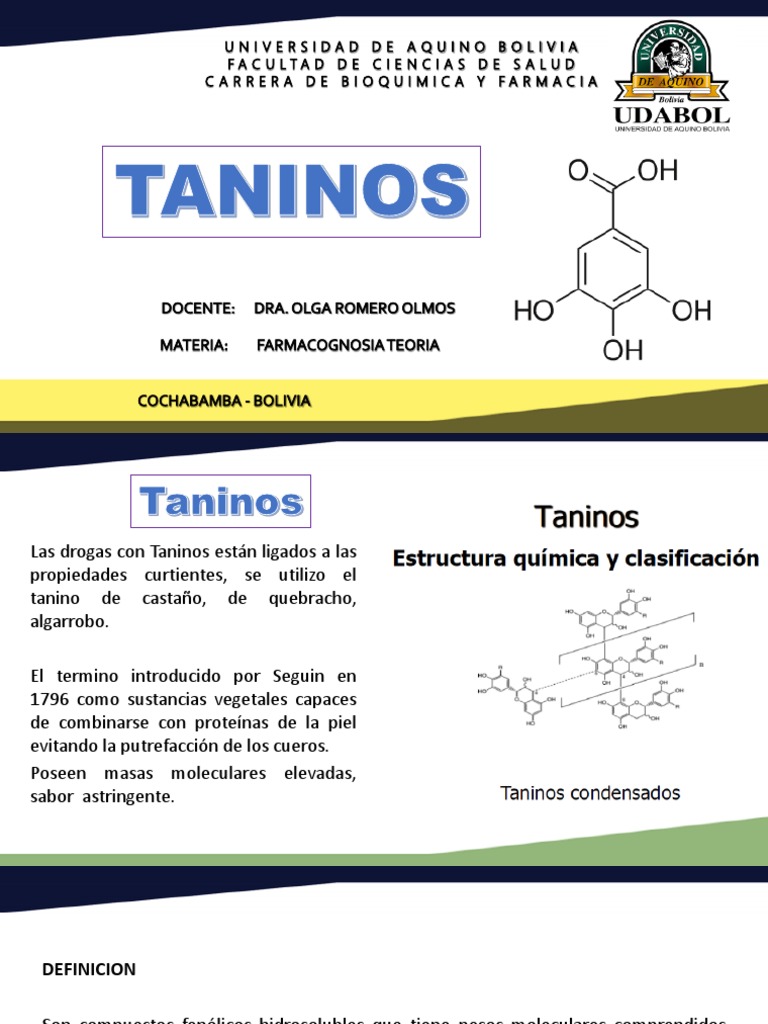 6 Taninos | PDF | Ácido | Flavonoide