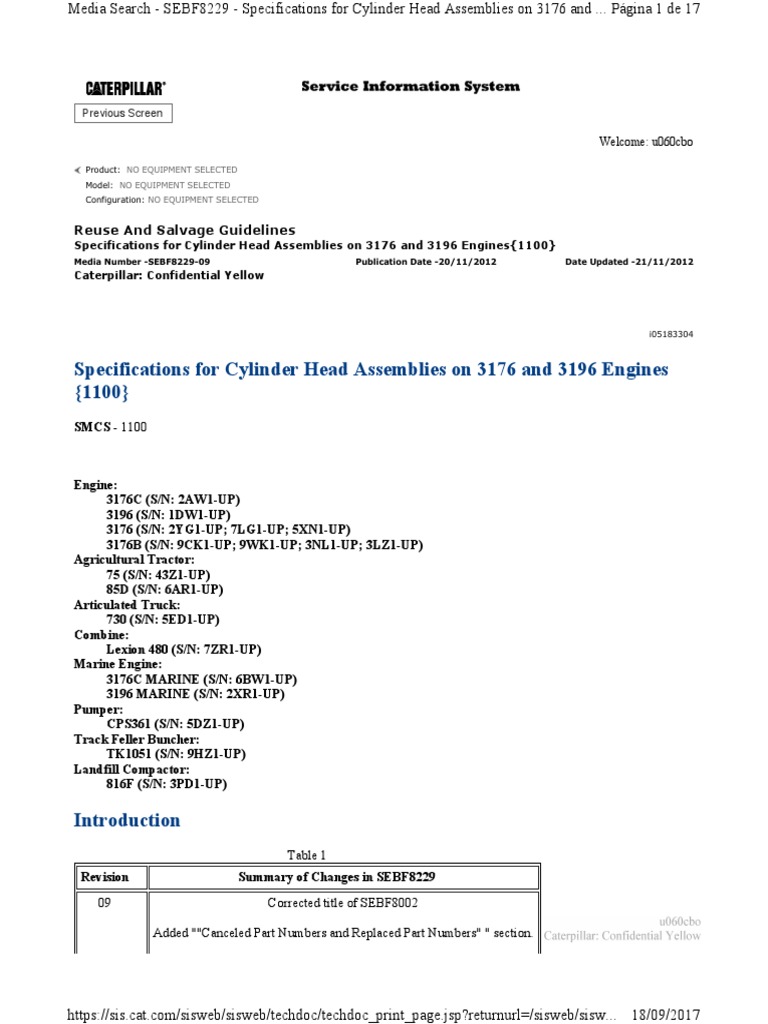 Motor Cat 3176-3196 | PDF | Fuel Injection | Diesel Engine