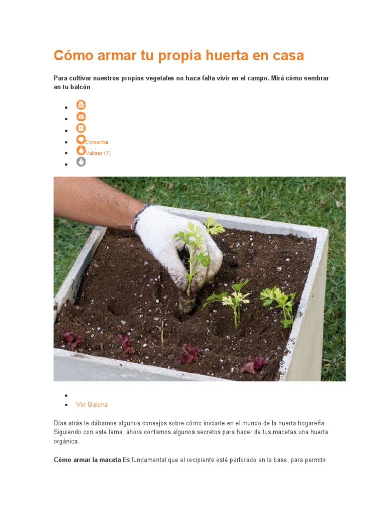 Cómo Armar Tu Propia Huerta En Casa Pdf Siembra Vegetales