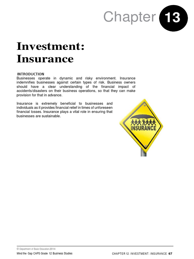 Investment: Insurance: Mind The Gap CAPS Grade 12 Business Studies ...