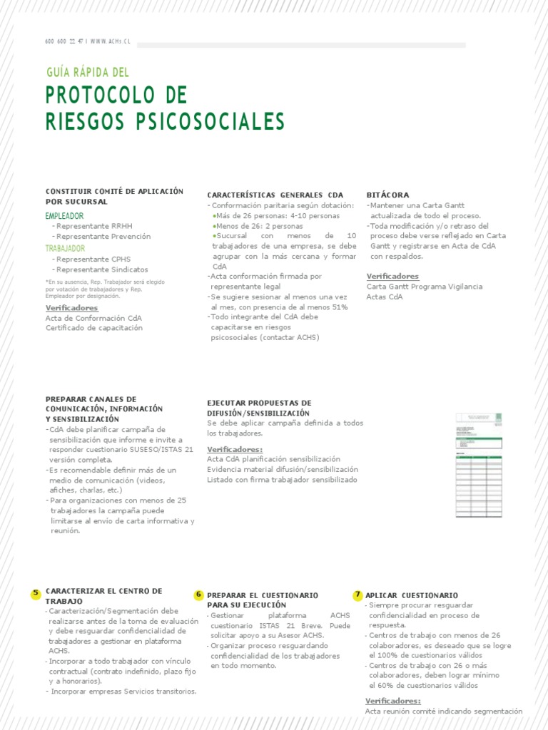 Guia - Rapida - Protocolo (PASO A PASO - ENTREGABLES) | PDF