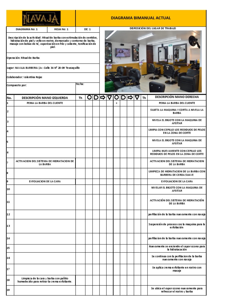 Formato Diagrama Procesos Bimanual | PDF | Barba | Apariencia humana