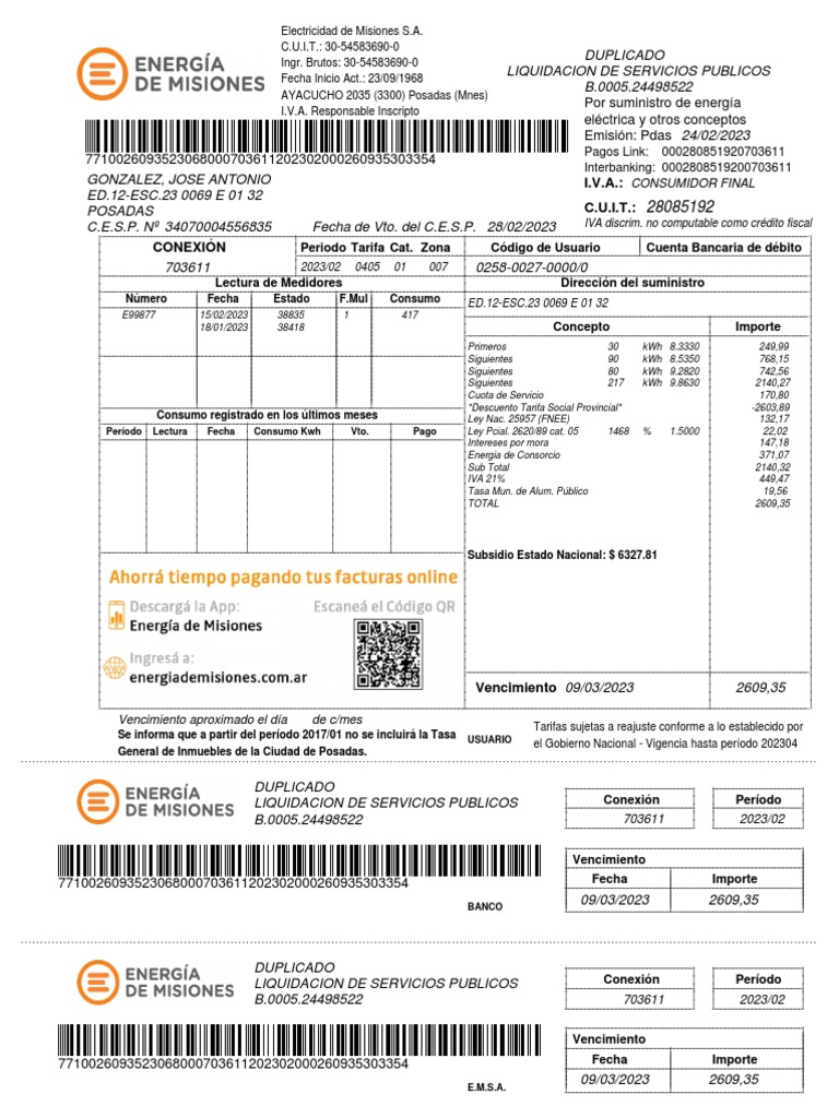Boleta Emsa | PDF | Impuesto al valor agregado | Economias
