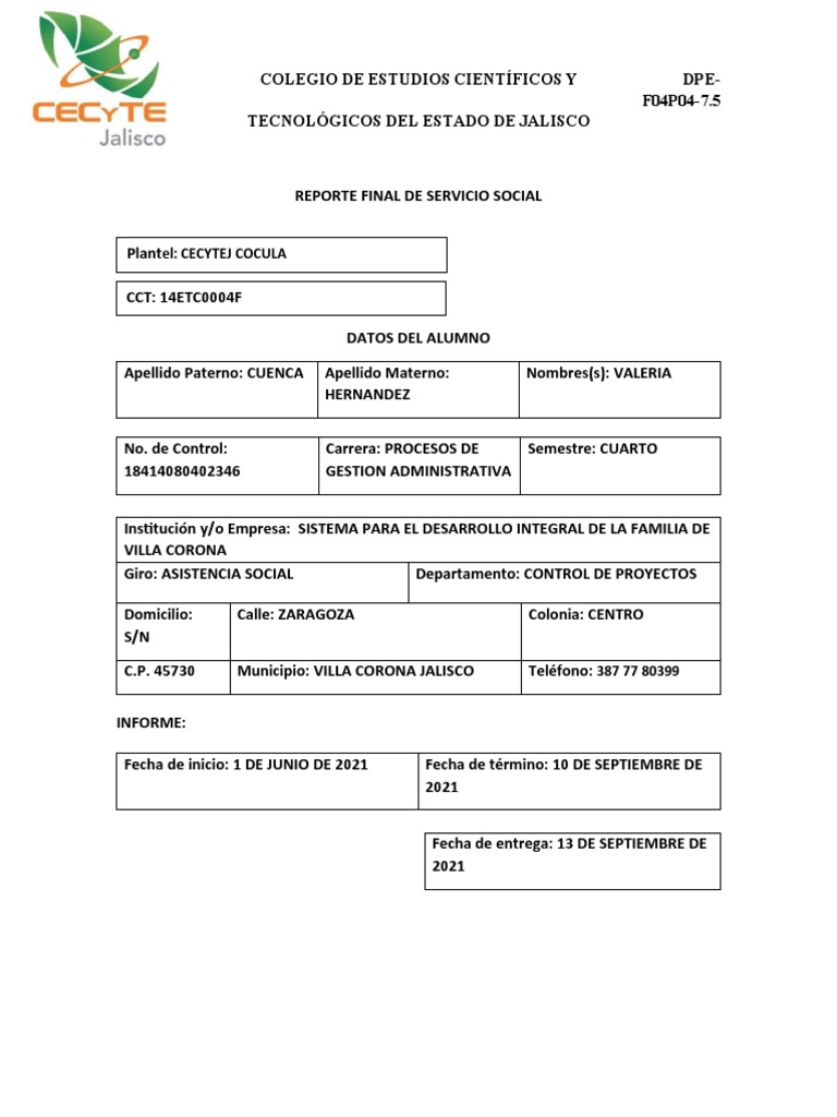 5 Reporte Final de Servicio Social | PDF | Trabajo Social | Business