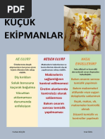 cf2 - HACCP Plan Template (Cooked Meat Pie) | PDF