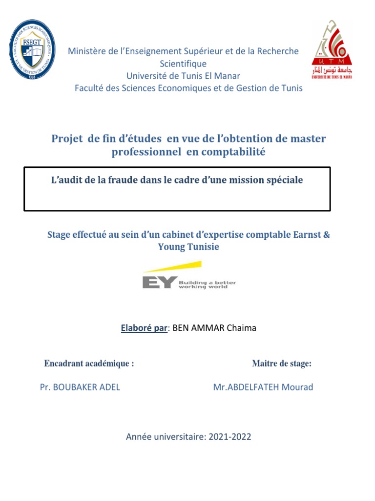 FY22 - PFE - L'audit de La Fraude Dans Le Cadre D'une Mission Spéciale | PDF | Audit financier ...