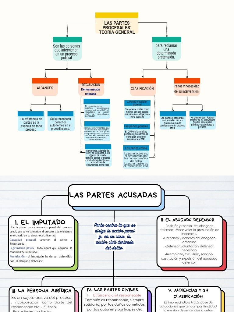 Partes Procesales en el Proceso Judicial | PDF