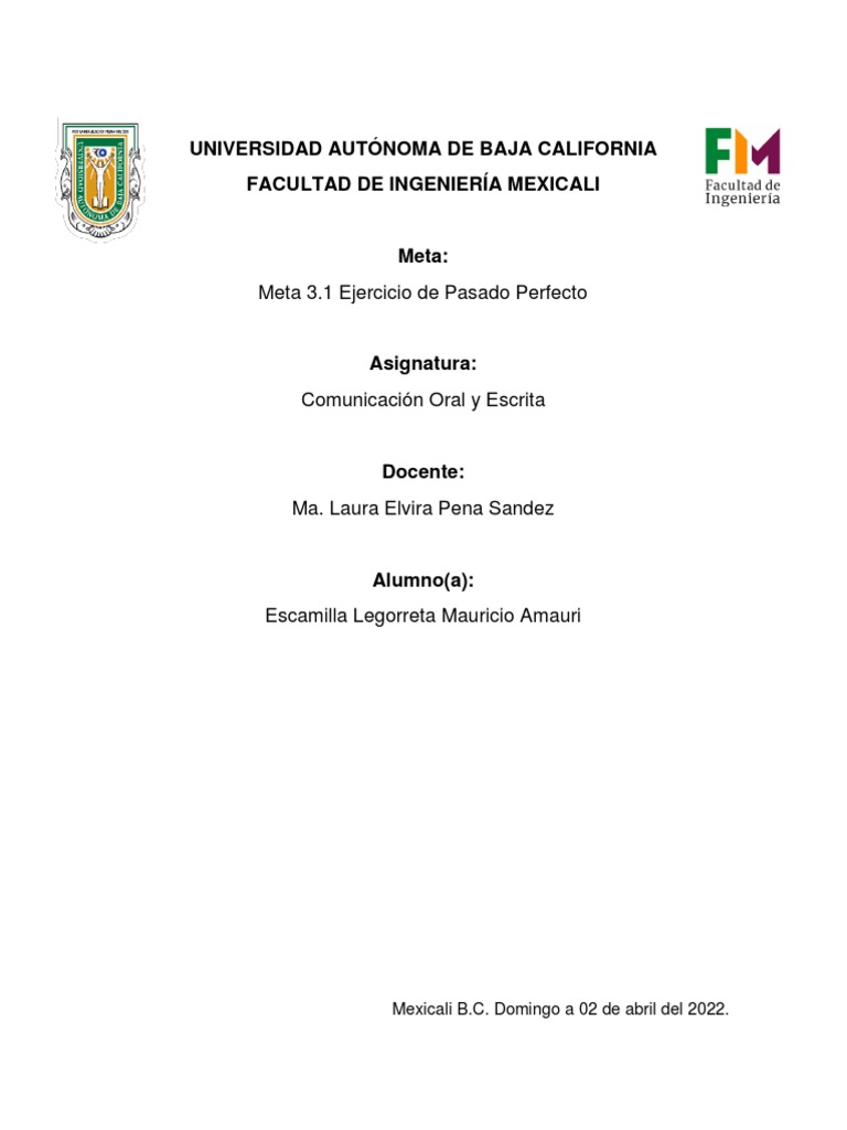 Meta 3.1 Ejercicio de Pasado Perfecto | PDF