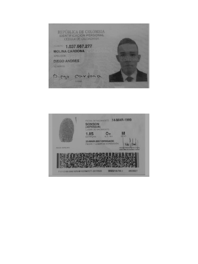 Cedula Diego Molina | PDF