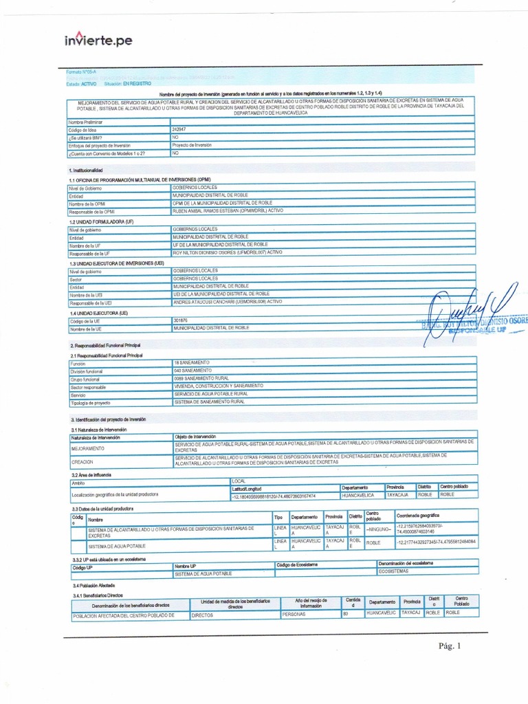 Formato 5 A Inversiones | PDF
