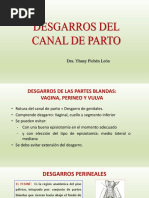 Traquelorrafias, Traqueloplastias y Amputación Del Cuello Uterino | PDF ...