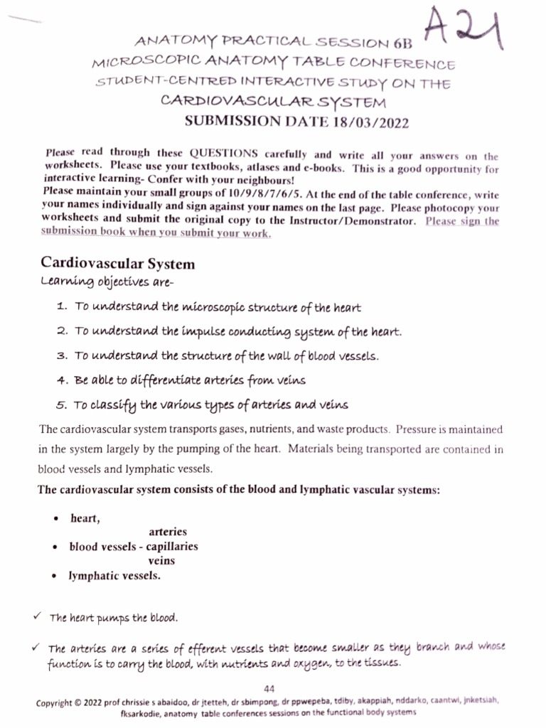 Anatomy Table Conference 6 | PDF
