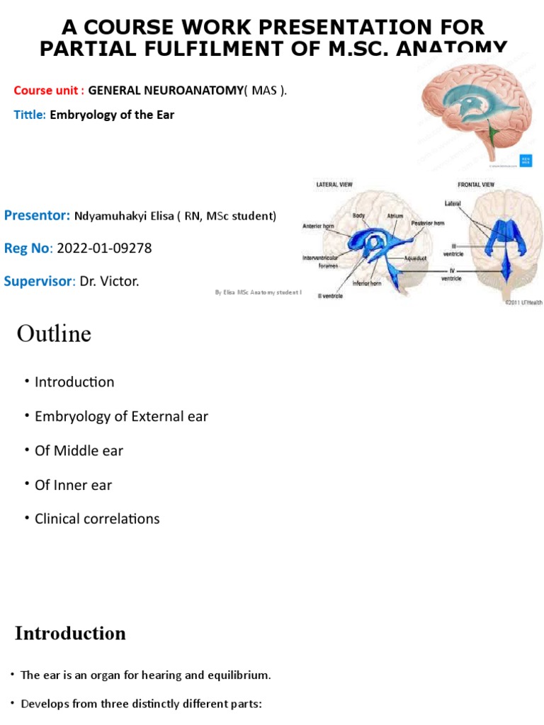 Embryology of The Ear and Its Anatomy | PDF