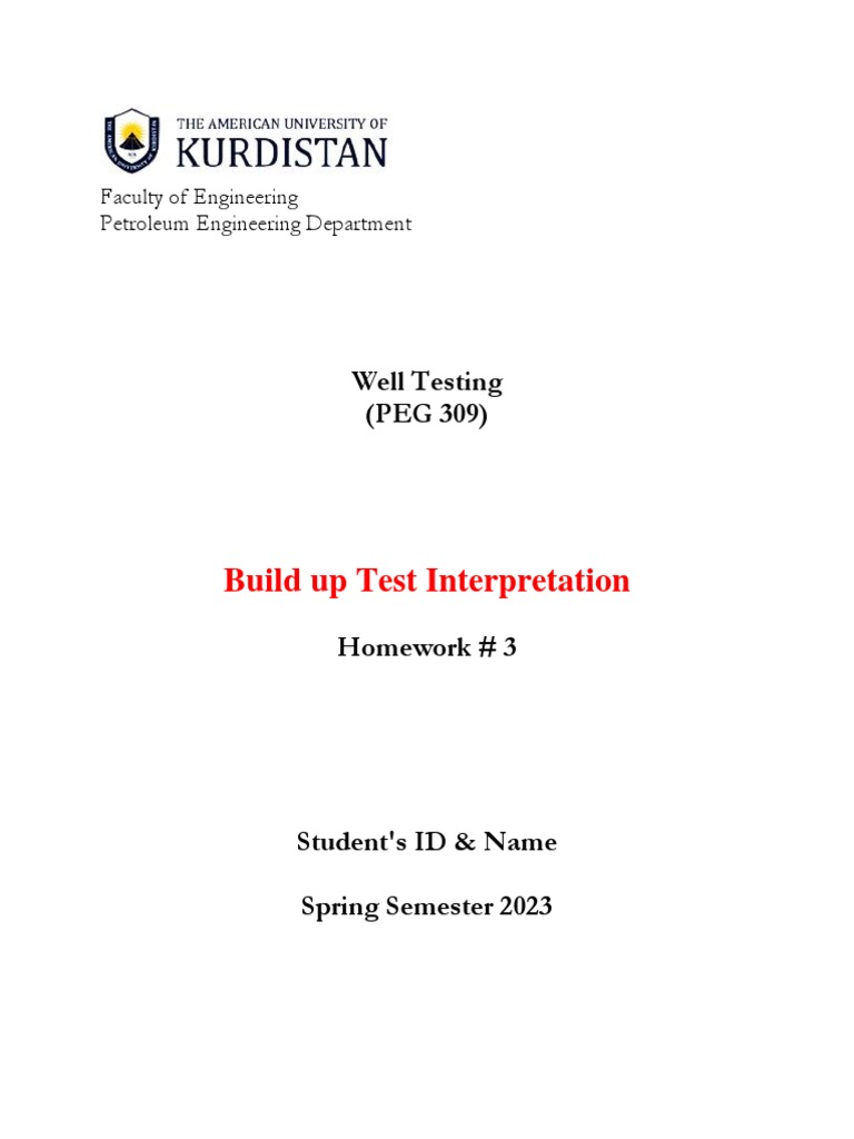 HW - 3 PEG 309 Well Testing | PDF