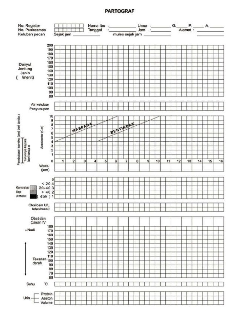 Partograf Maternitas 2023 | PDF