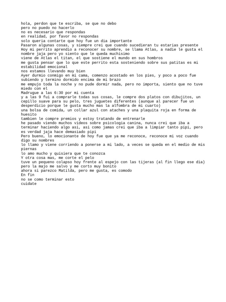 Diario 1 | PDF