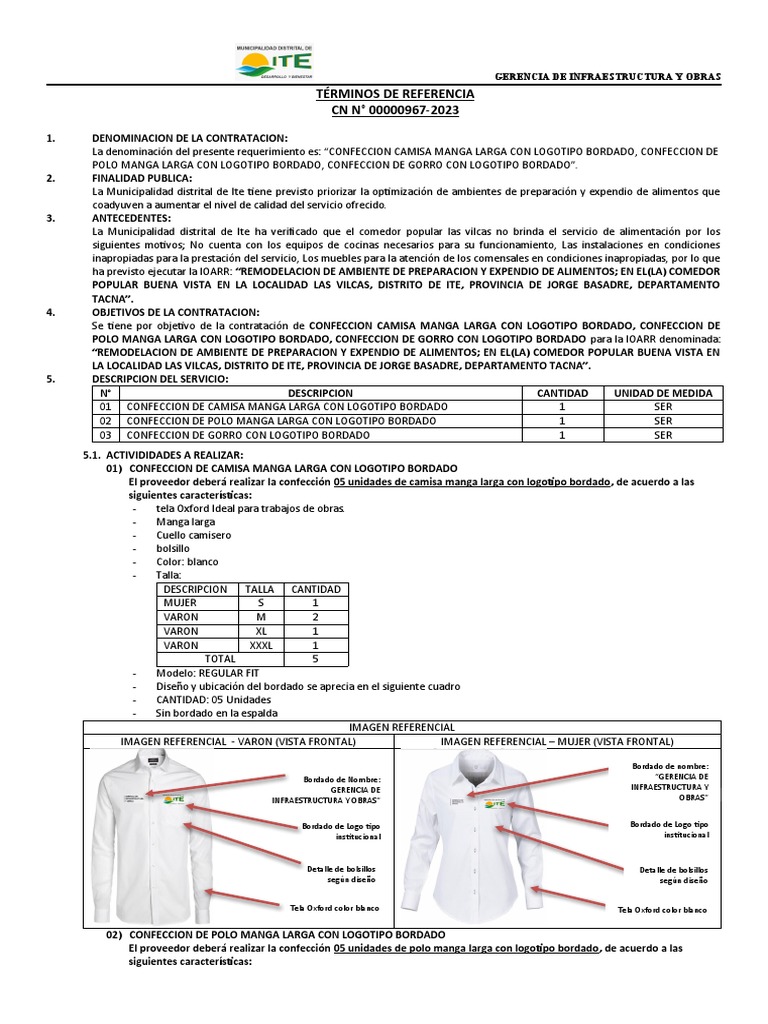 007 Termino de Referencia - N°967 Epp Personal Tecnico | PDF