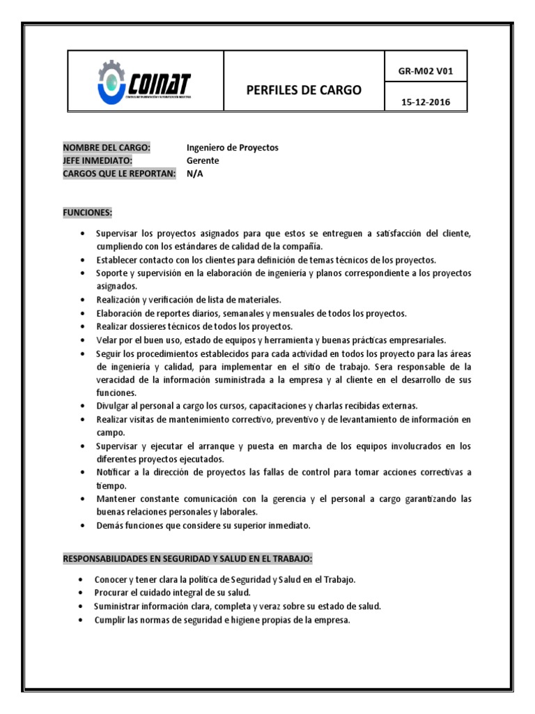 03 Perfiles de Cargo Ingeniero de Proyectos | PDF | Business