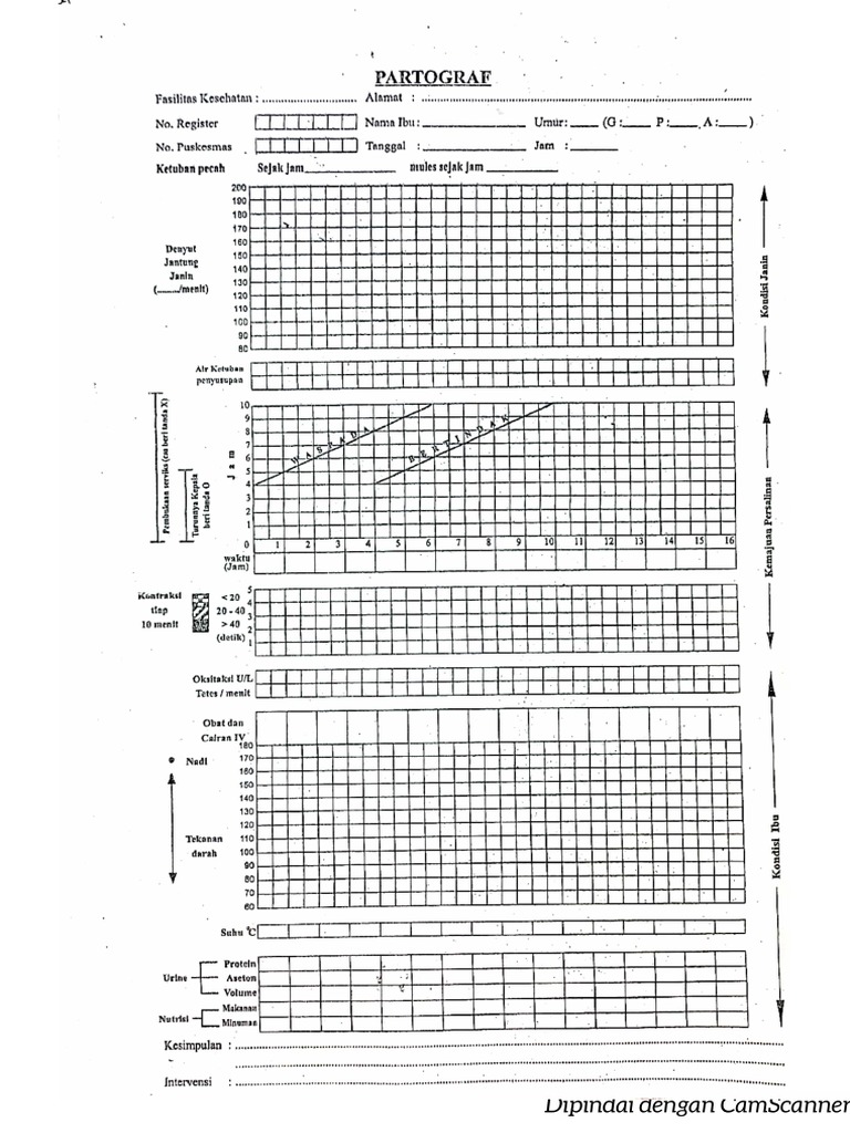 Lembar Partograf, Oke | PDF