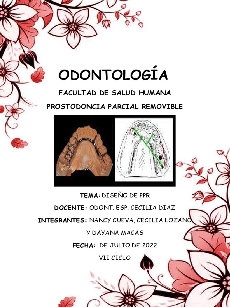 Diseño Del PPR | PDF