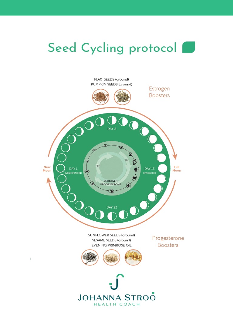 Seed Cycling Protocol | Download Free PDF | Menstrual Cycle | Endocrine System