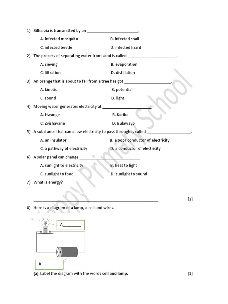 Grade 4 Holiday Homework | PDF | Electricity | Electrical Conductor