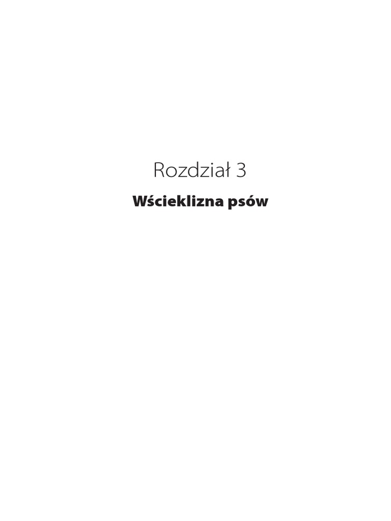 Rozdzial 03 | PDF