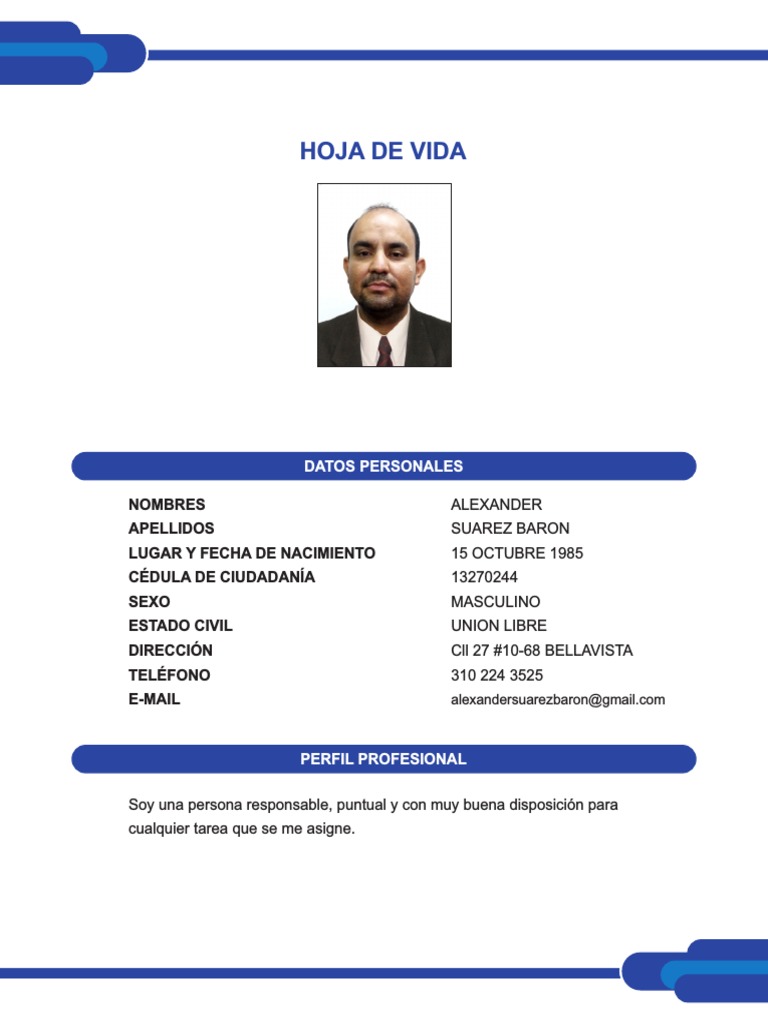 Hoja de Vida Alex | PDF