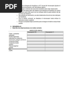 BIOMICROSCOPIA Cam Anterior y Posterior | PDF | Catarata | Ojo humano