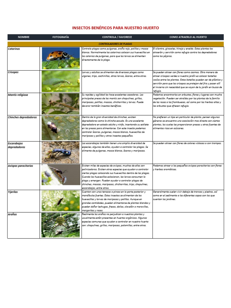 Insectos Benéficos para El Huerto | PDF | Polinizadores | Insectos