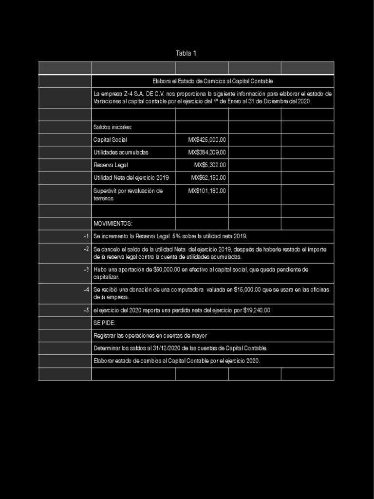 1er Ejercicio Estado de Cambios Al Cap Cont | PDF | Contabilidad | Industrias de servicio