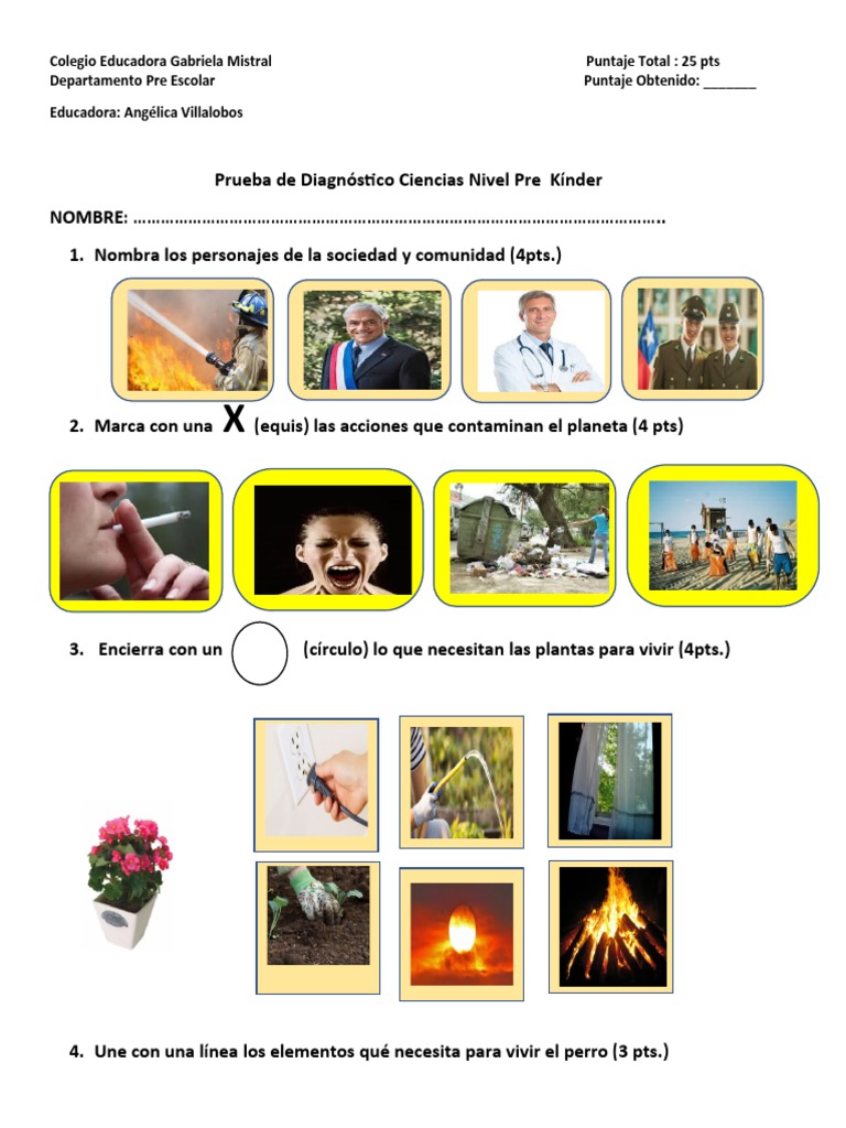 Prueba Diagnóstica Ciencias Pre Kínder | PDF