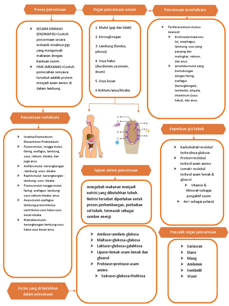 DOC-20230401-WA0012. | PDF