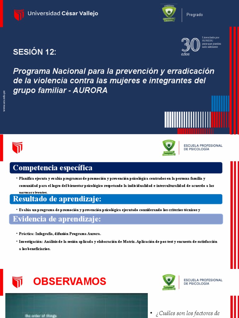 Sesión 12 - Programas Aurora | PDF | La violencia contra las mujeres | Violencia doméstica
