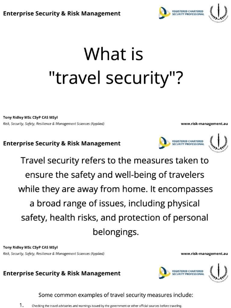 Travel Security | PDF